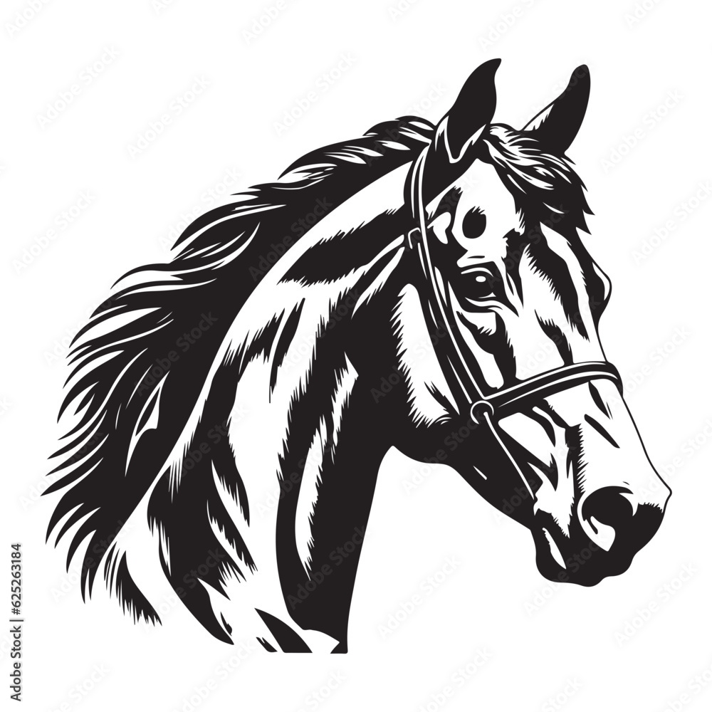 Horse svg, horse head svg, Horses pony cute, beautiful horse svg, Horse ...