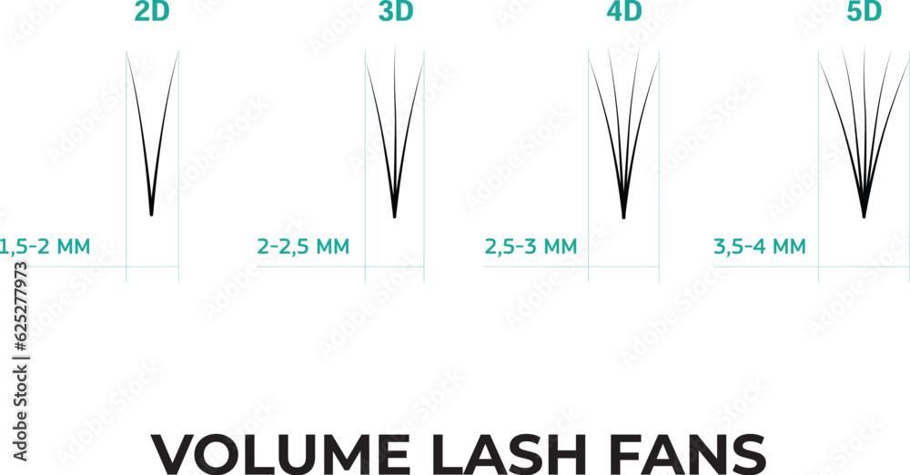 Chart Types of thickness of volume cluster fans artificial lashes ...