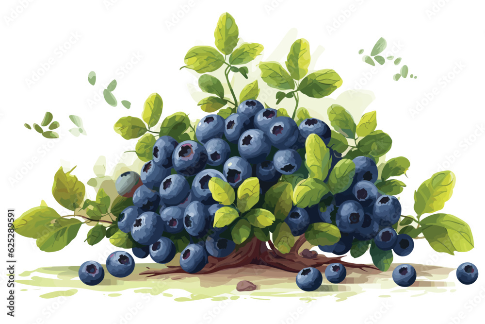 Blueberries in tree white background vector art Blueberry berries with ...