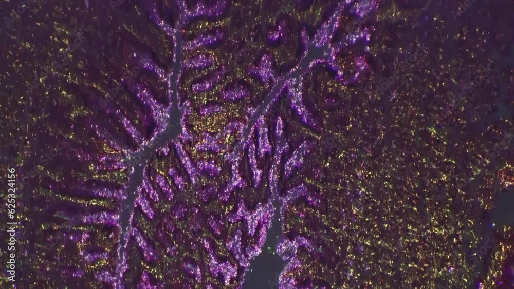 Human stomach in section filmed under microscope 400x with oblique ...