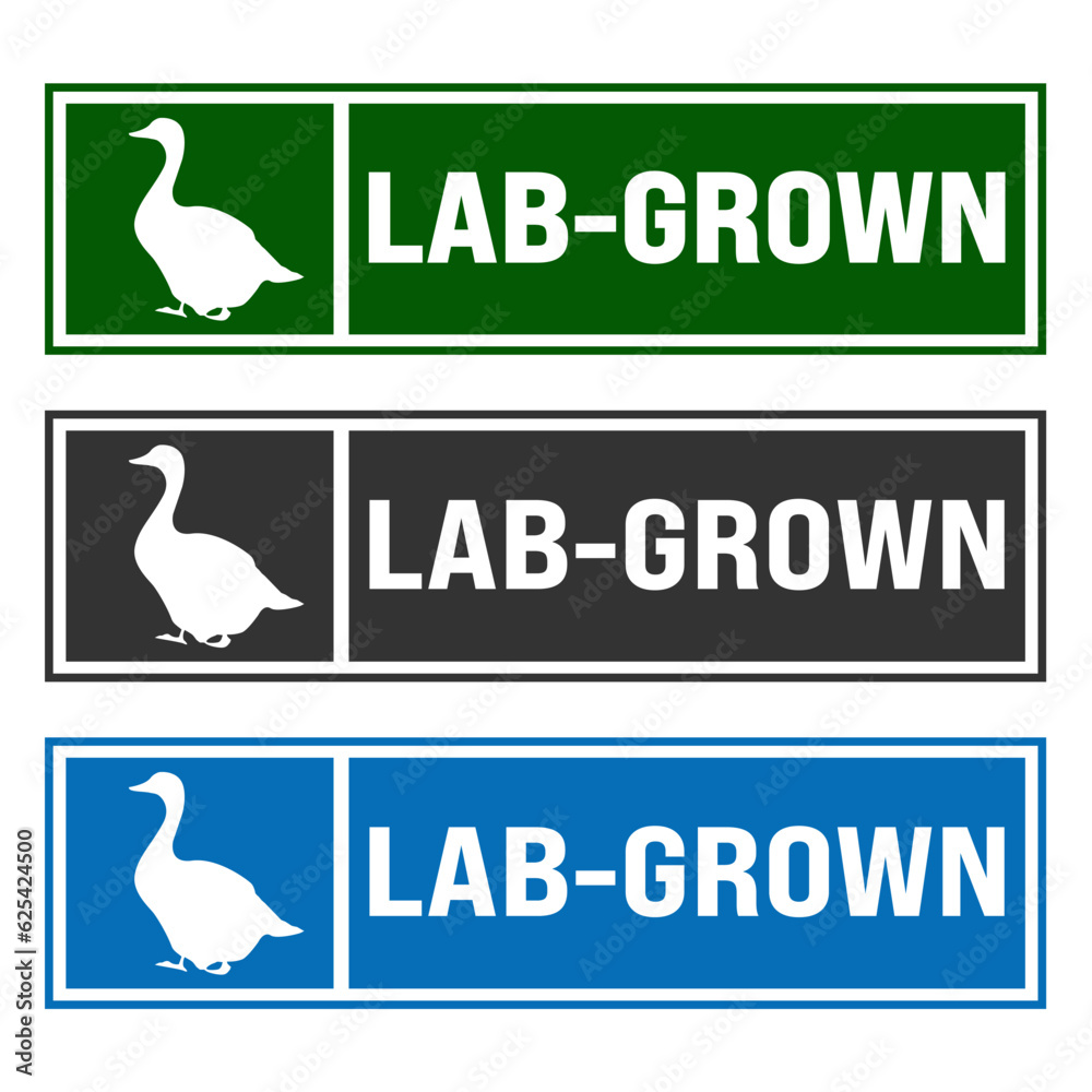 Lab - grown. Cruelity free, safe, healthy. Environmentally friendly ...
