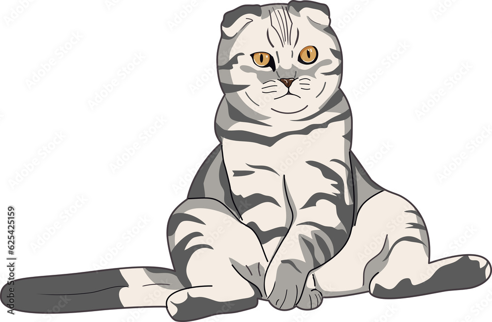 cute Sitting Fat cat, white and gray tabby cat clipart illustration ...