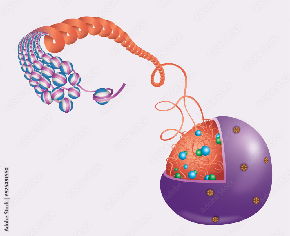 Cell division and reproduction, reproduction in living things, division ...