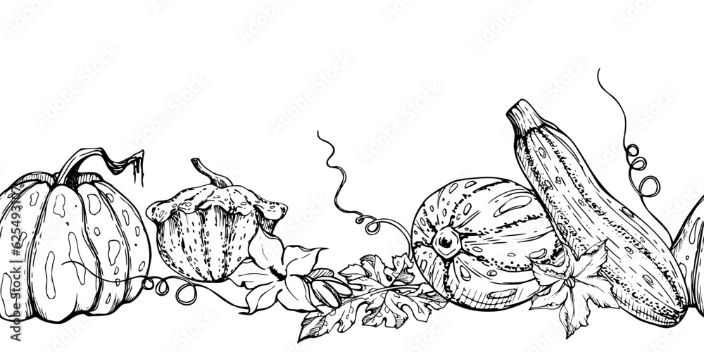 Hand drawn ink vector pumpkin gourd squash flower, tendrils and leaf ...