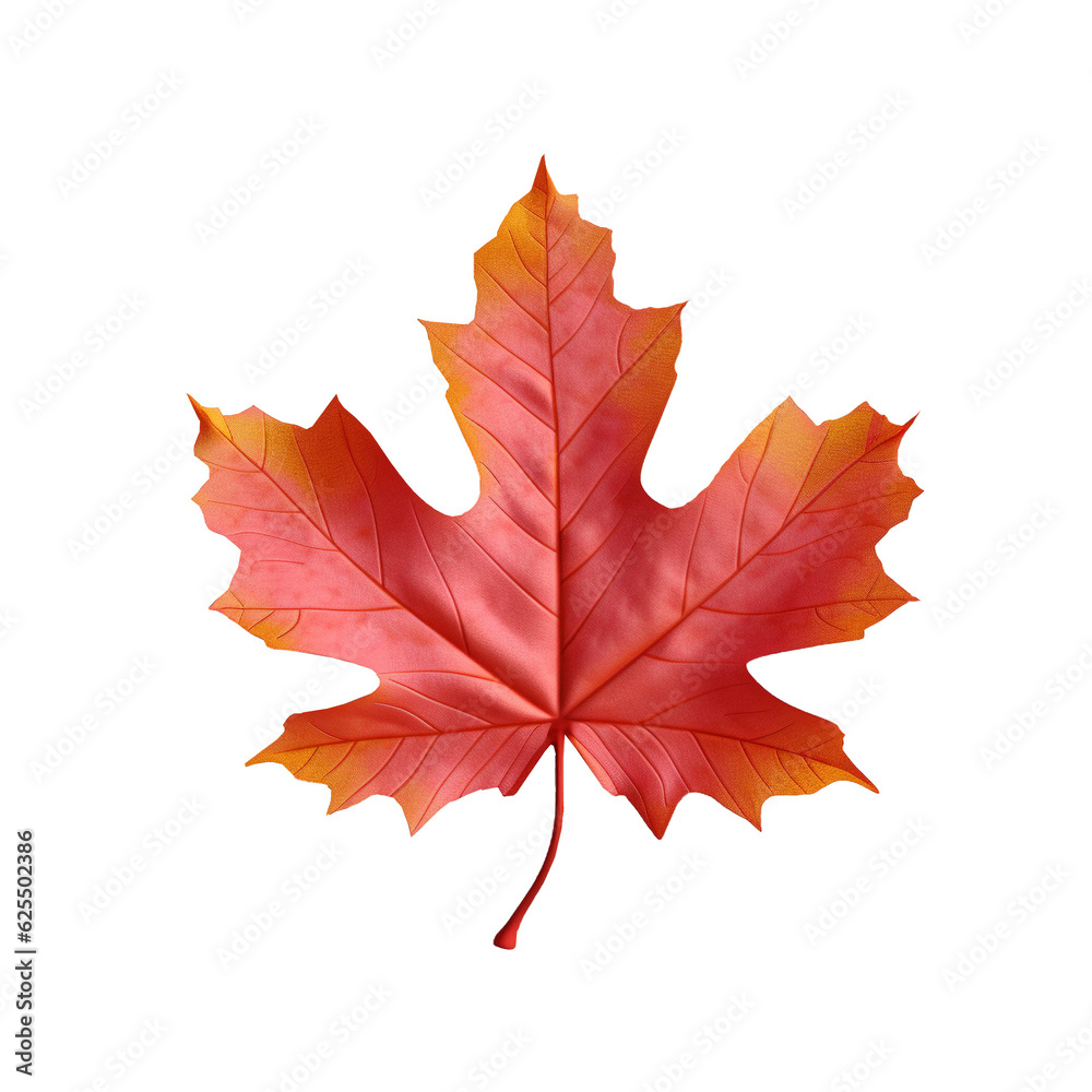 3d realistic Maple leaf on transparent background. Generative AI. Stock ...