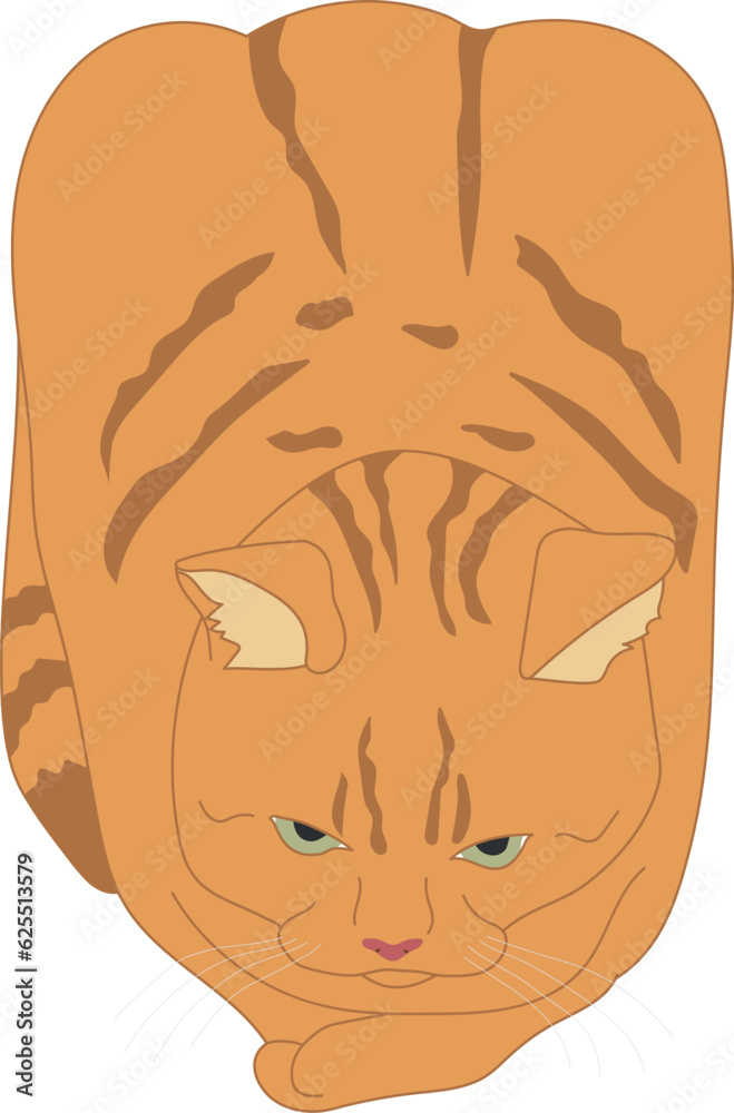 Hand drawn tabby cat in a loaf pose isolated on a white background ...