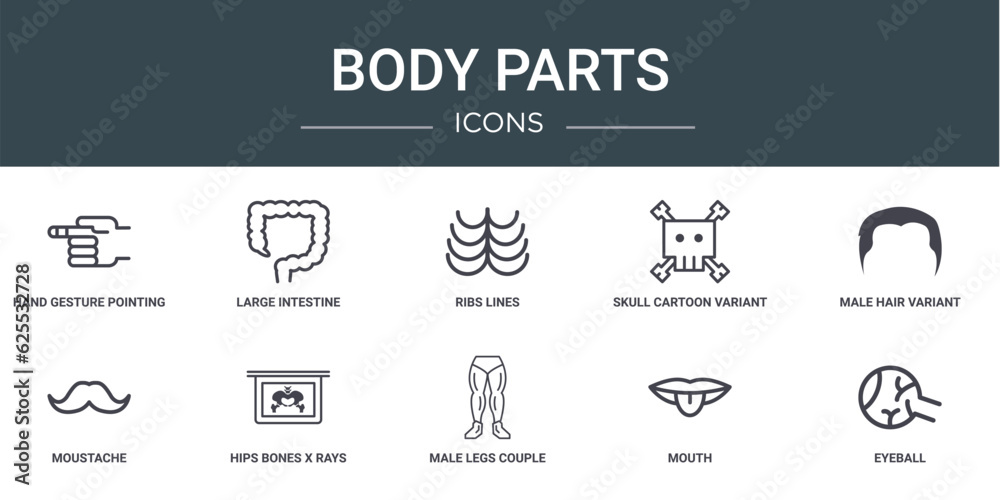 set of 10 outline web body parts icons such as hand gesture pointing to ...