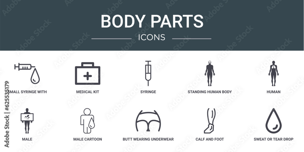 set of 10 outline web body parts icons such as small syringe with large ...