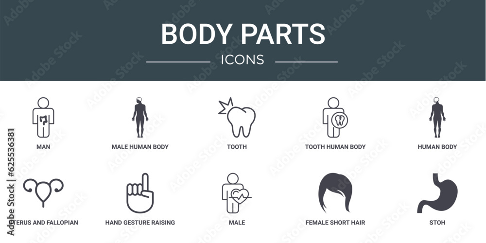 set of 10 outline web body parts icons such as man, male human body ...