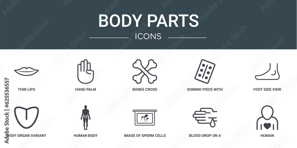 set of 10 outline web body parts icons such as thin lips, hand palm ...
