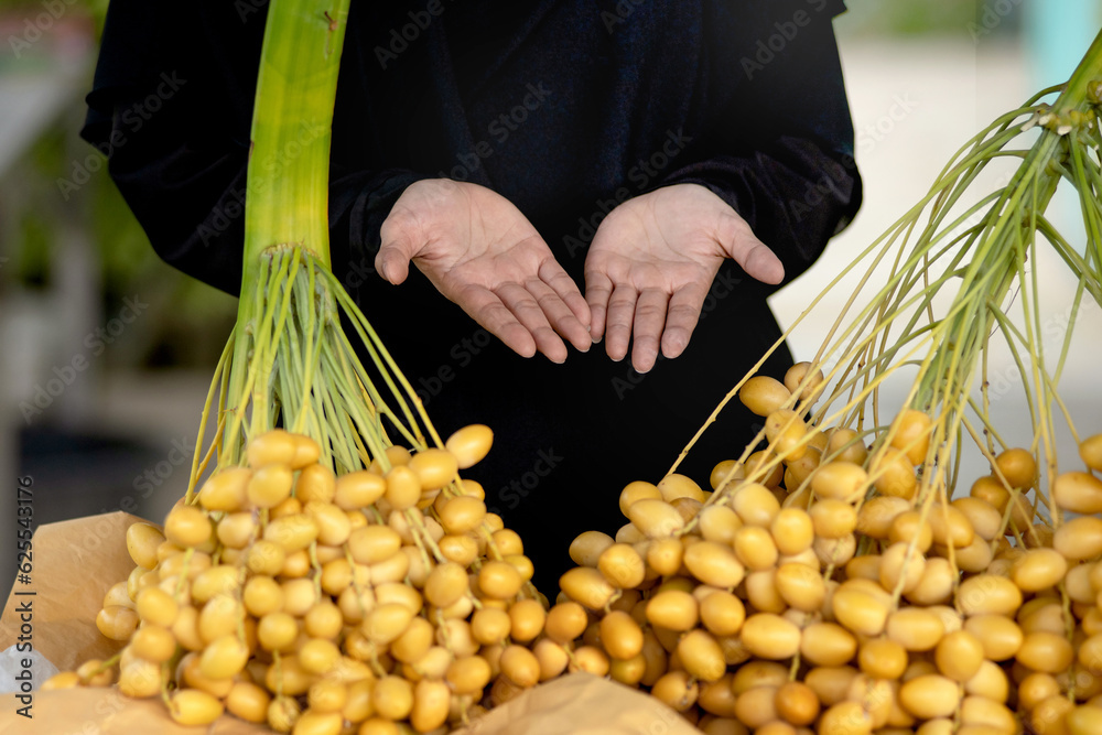 Muslim woman hand gestures to taste yellow date palms, yellow Bahi ...