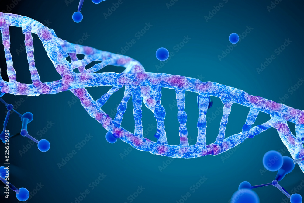 DNA. Illustration of the molecular structure of DNA strands of human ...