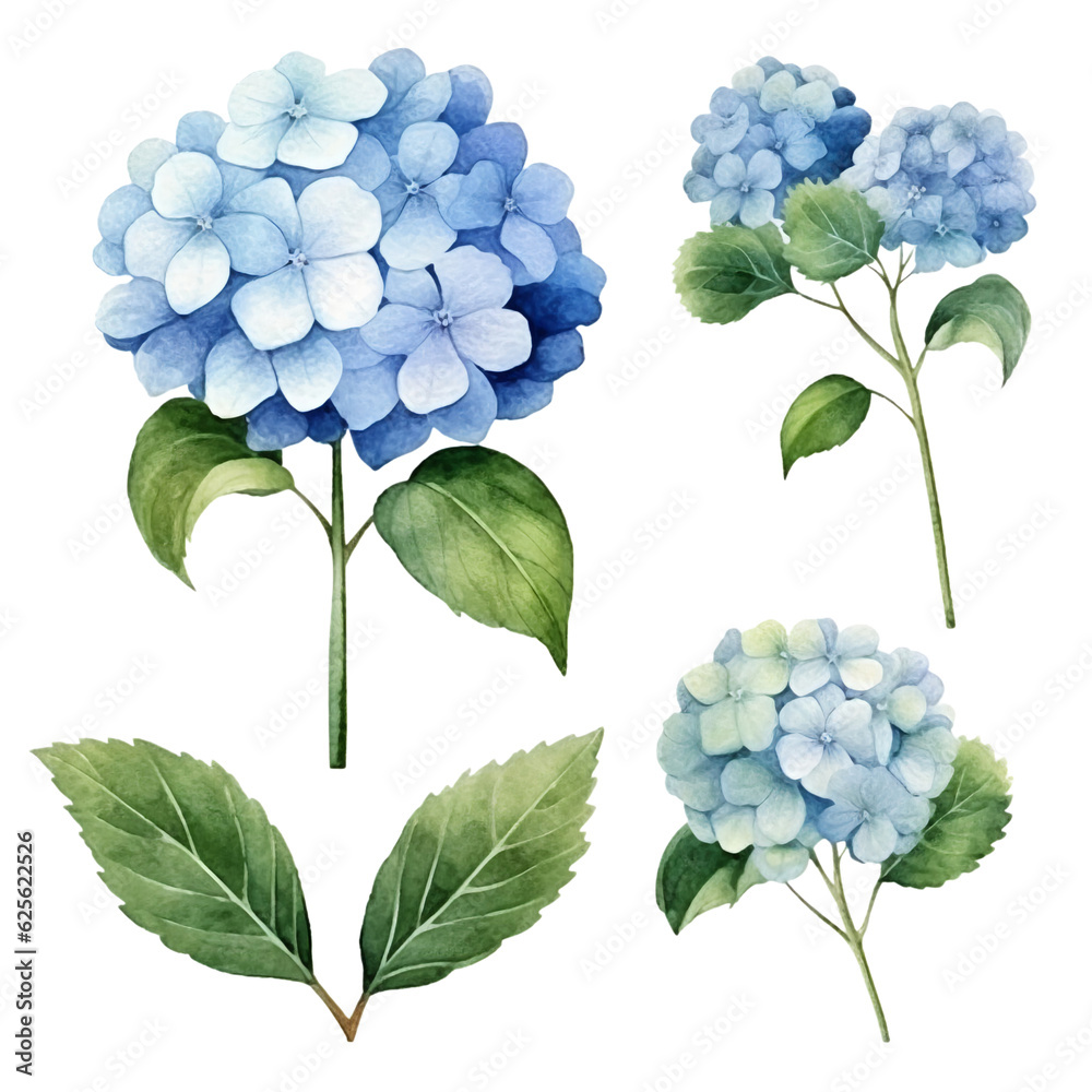 Beautiful Flowers Watercolor Clip Art, Floral Watercolor Illustration ...