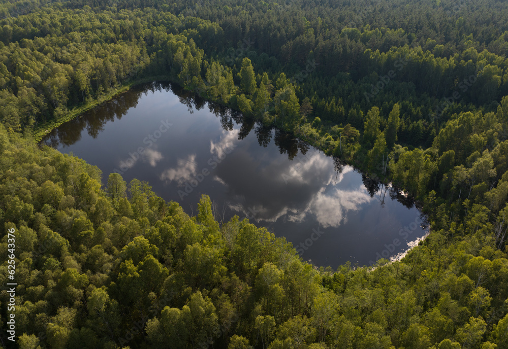 Lake in forest, aerial view. Wild pond in forest with fir and pine ...