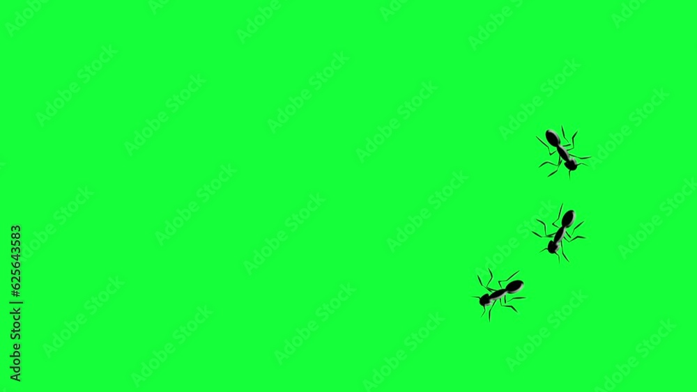 walking ants animation walking ants animation swarm animation with ...