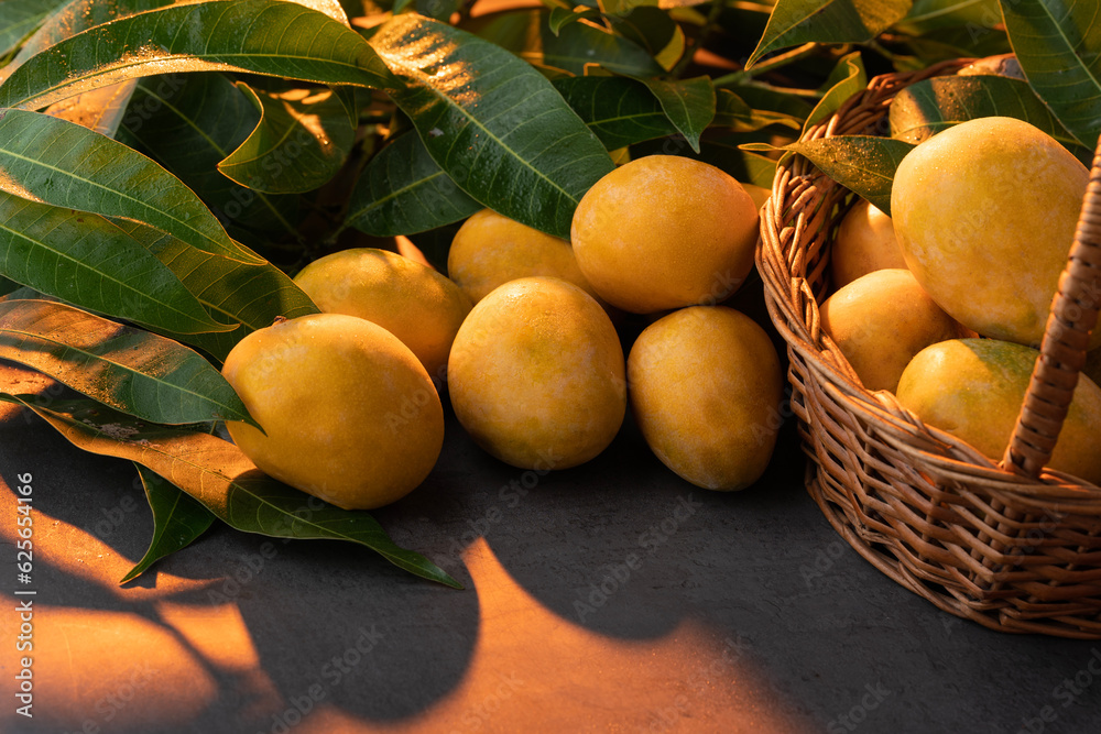 Beautiful image of Mangoes with leaves, Mango day photography Stock ...