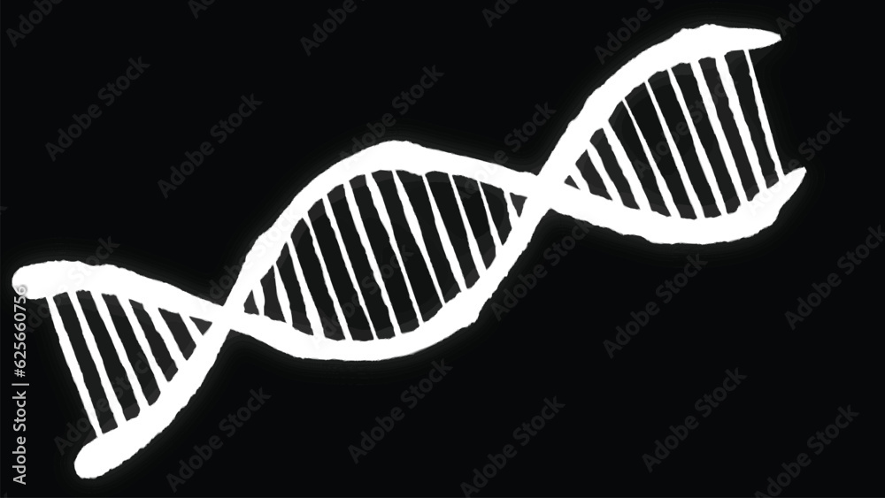 White DNA Strands on spiral. Double helix human DNA structure. gene ...