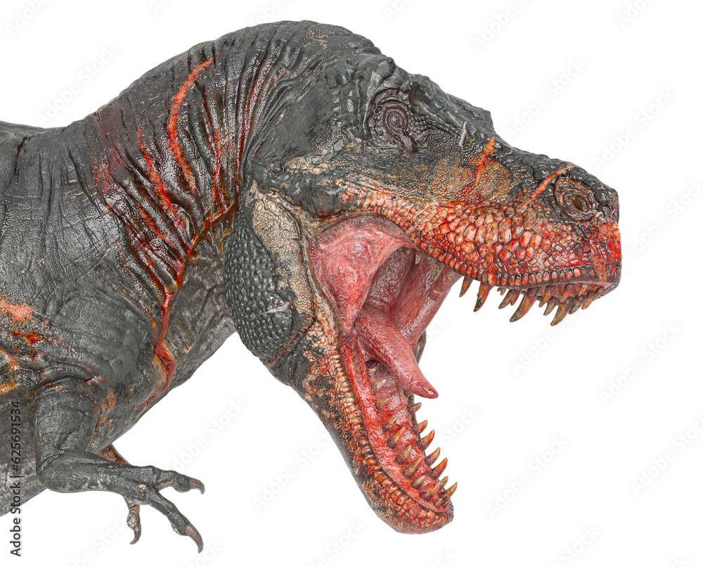 t-rex on blood id profile portrait in white background Stock ...