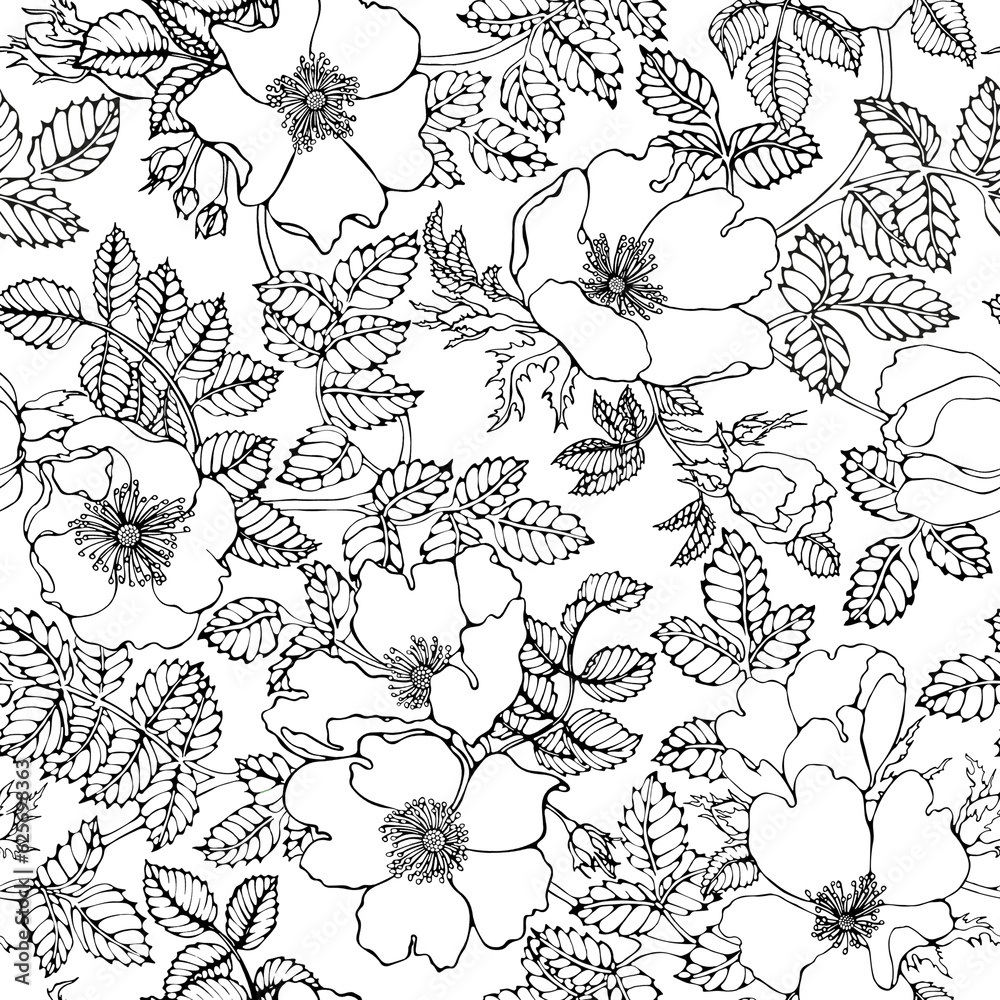 Seamless non directional pattern, wild roses black outline Wallpapers ...