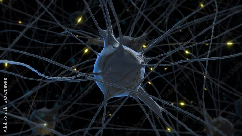 3d animation of the nerve cell and human nervous system. Receptors ...
