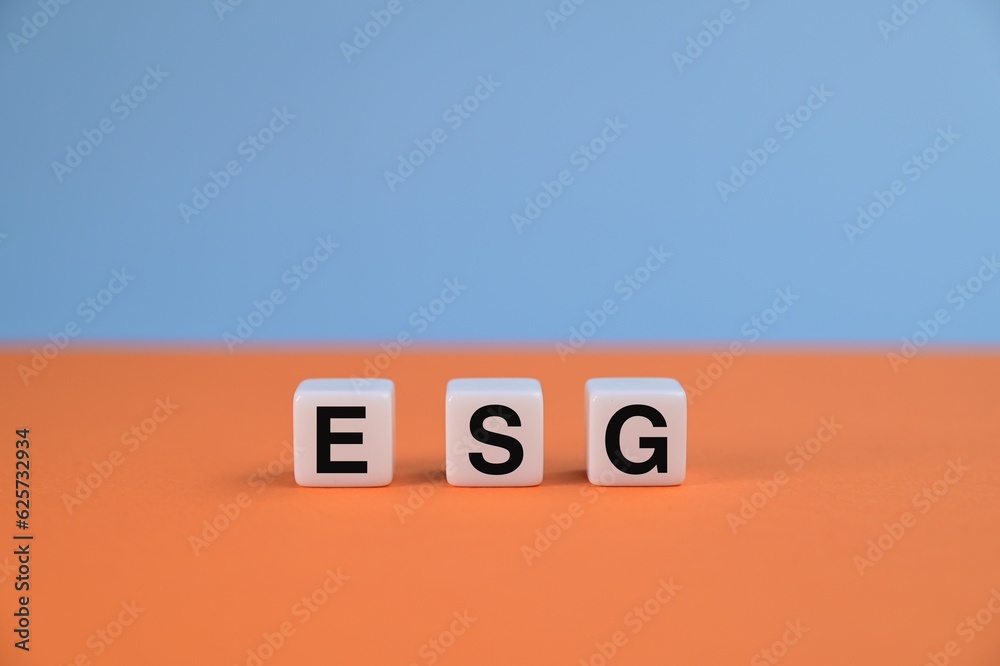 ESG letters on white blocks. Building a Sustainable Future concepts ...