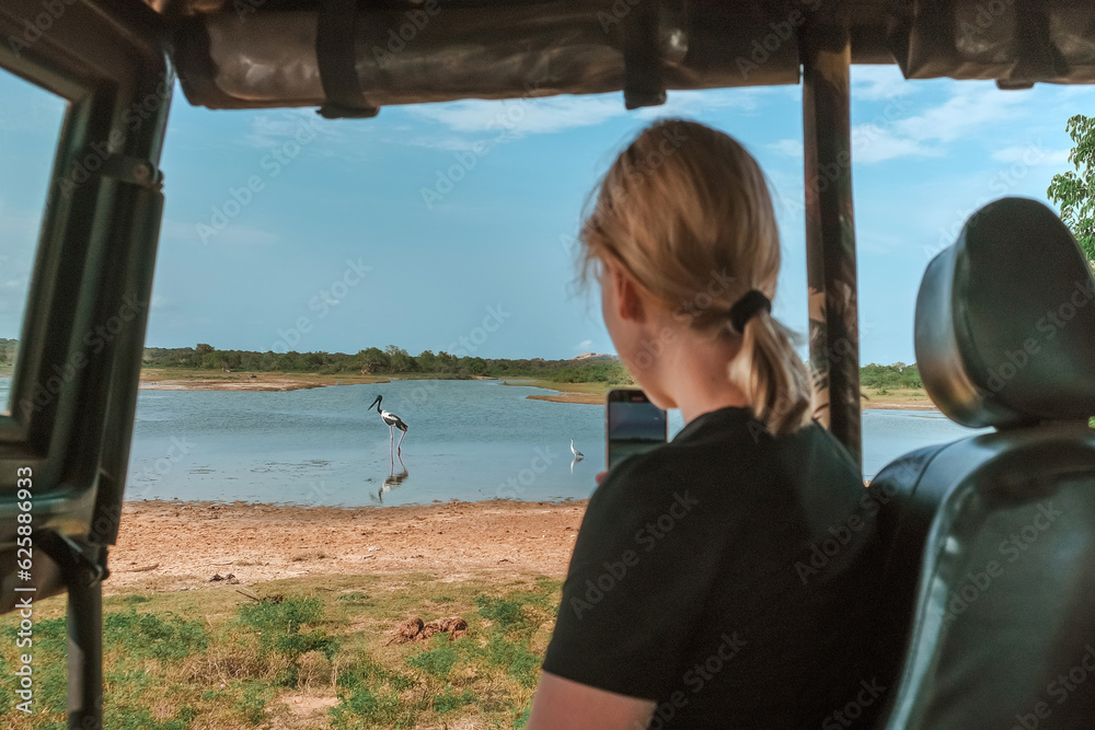 Wildlife safari.Eco travel in the jungle with wild animals elephants ...