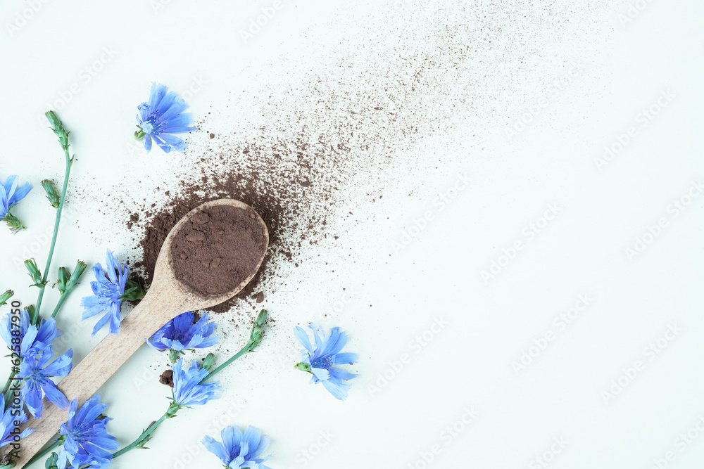 Ground chicory and blue chicory flowers on light background ...