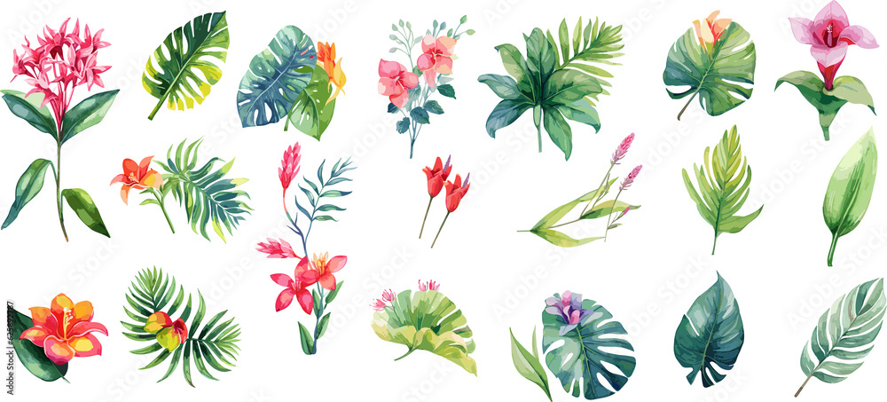 Big set of jungle leaves and flowers. Summer concept. topical plants on ...