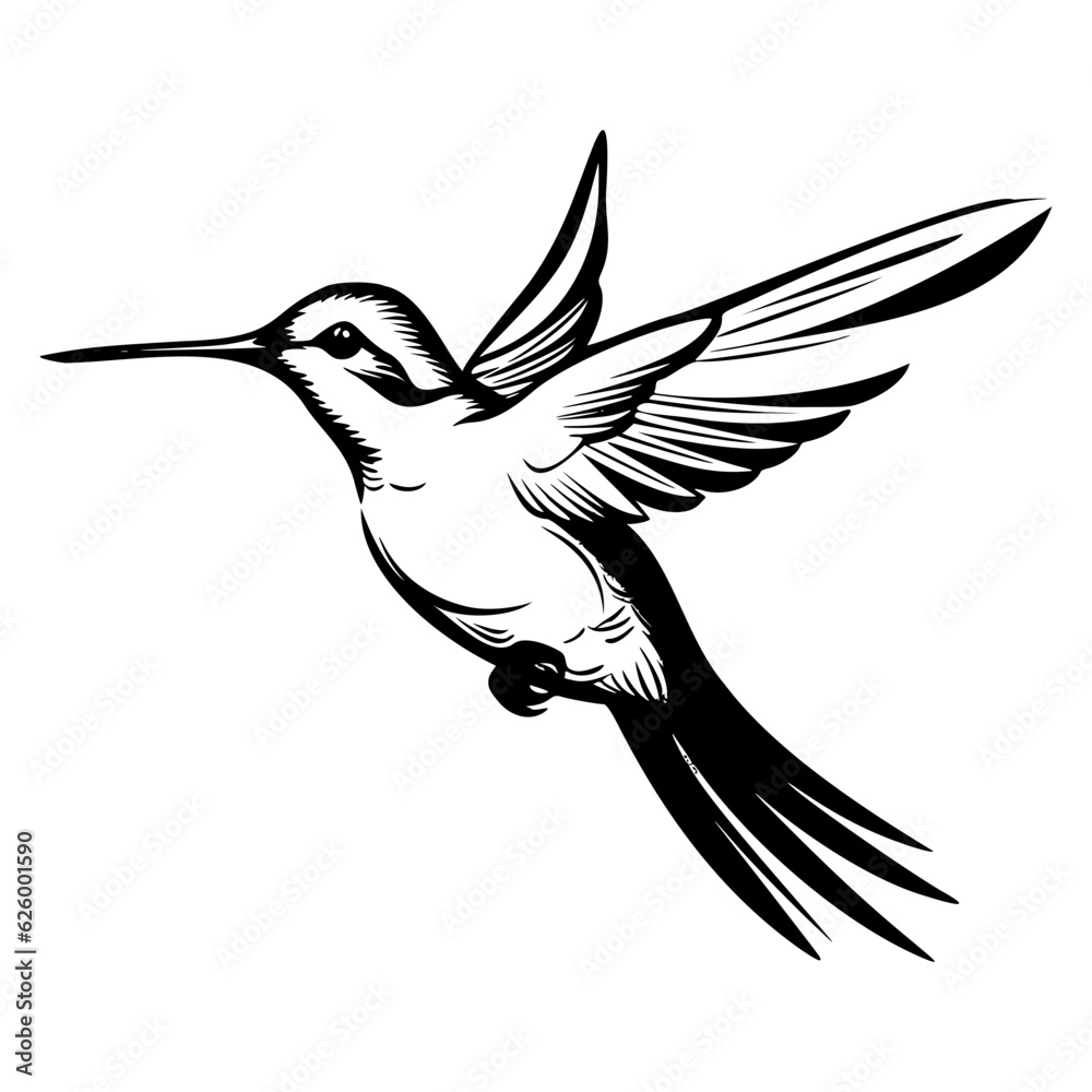 Vetor de Hummingbird’s silhouette, Hummingbirds mascot logo, Hummingbirds Black and White Animal ...