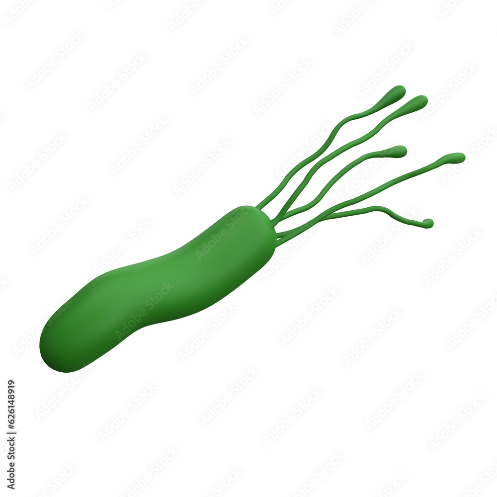 Helicobacter pylori bacteria 3d render realistic medicine icon for logo ...