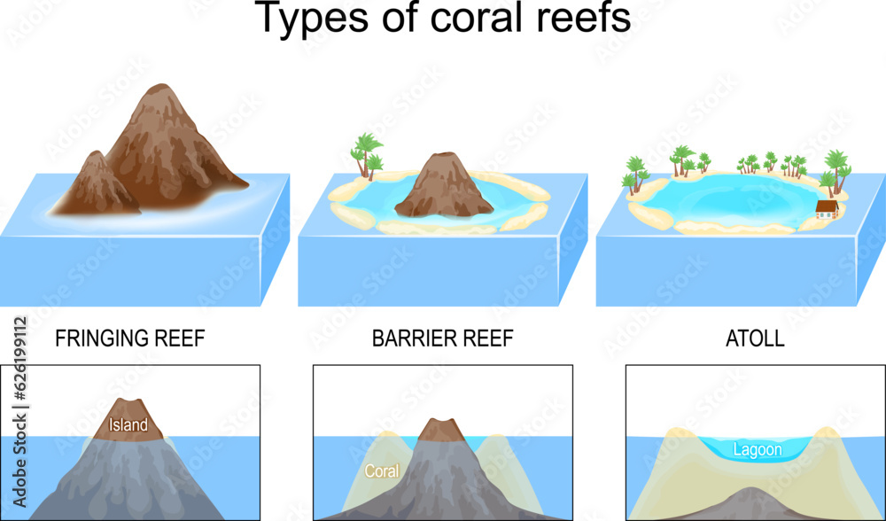 Poster Types, and structure of coral reefs and islands. – Wall Art ...