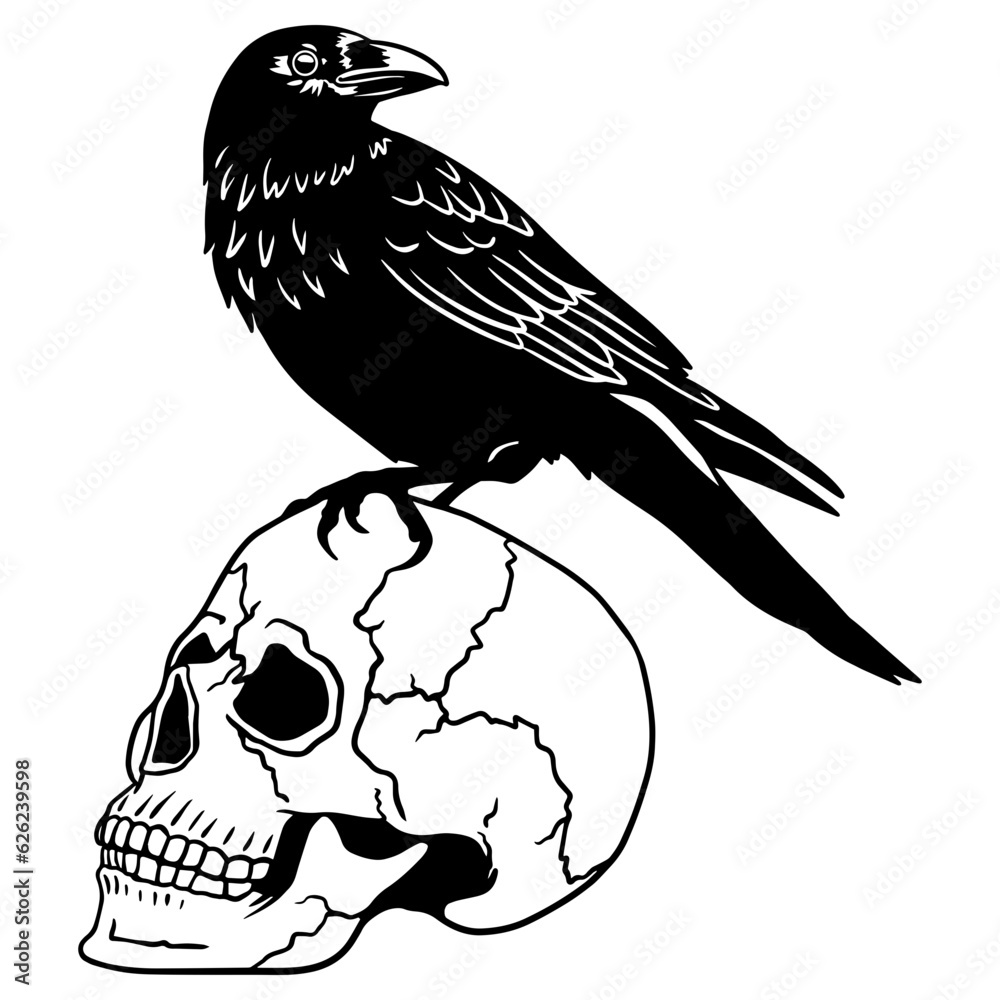 Magic Crow sits on a skull. Raven sketch. Vintage engraving Mystical ...