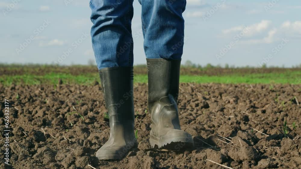 Farmer walks in rubber boots on plowed land. Farmers feet in rubber ...