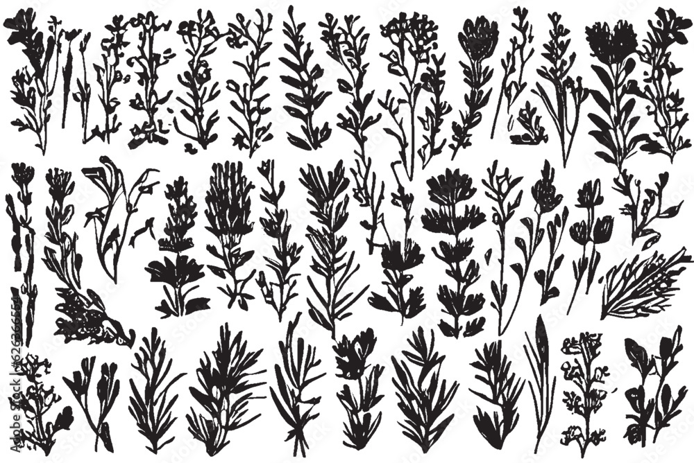 Introducing the delightful 'Flowers Icon Set' - a charming collection ...