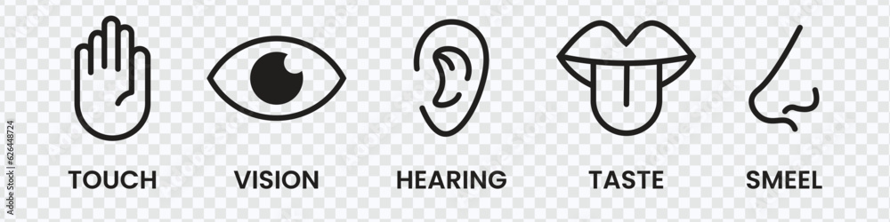 Human sense icons. Five human senses icons. Vision smell hearing touch ...
