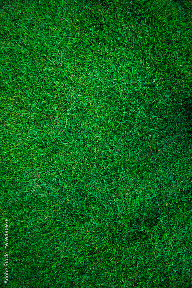 Green grass nature background empty grass texture Stock Photo | Adobe Stock