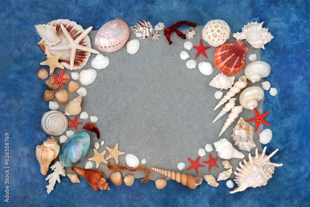 Sea shell design background border on rustic mottled blue background ...