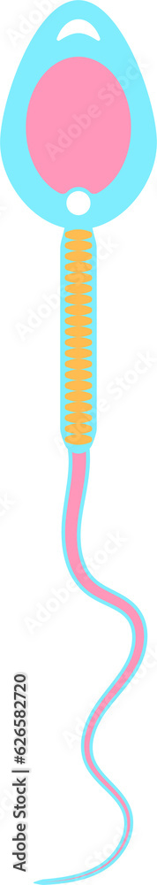 Sperm Morphology Head Defects Small Acrosome Stock Illustration | Adobe ...