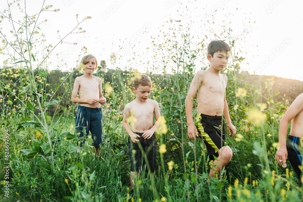 shirtless boys in tall green grass field Stock Photo | Adobe Stock