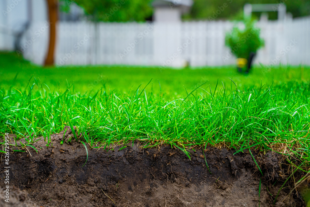 Lawn cut, layers of different soil with grass root system Stock Photo ...