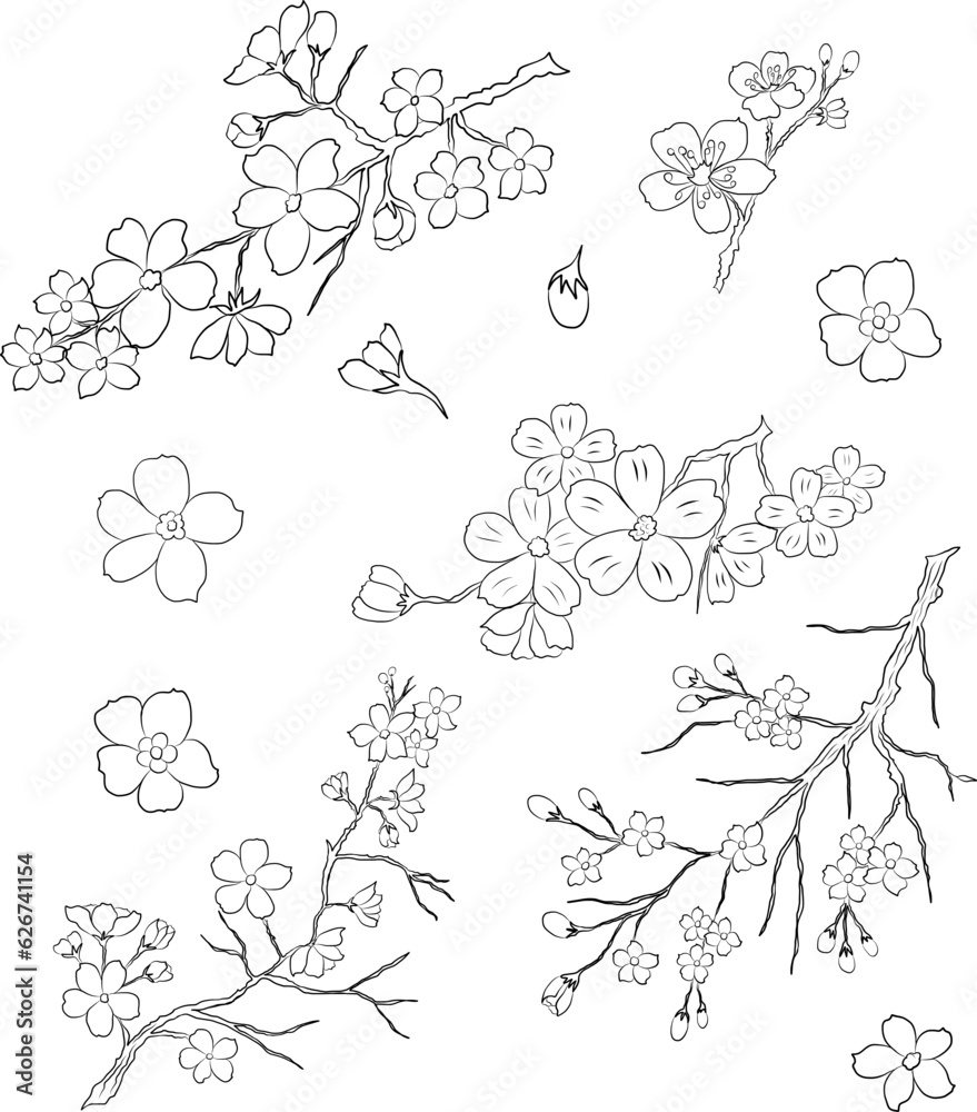 Free hand Sakura flower vector set, Beautiful line art Peach blossom ...