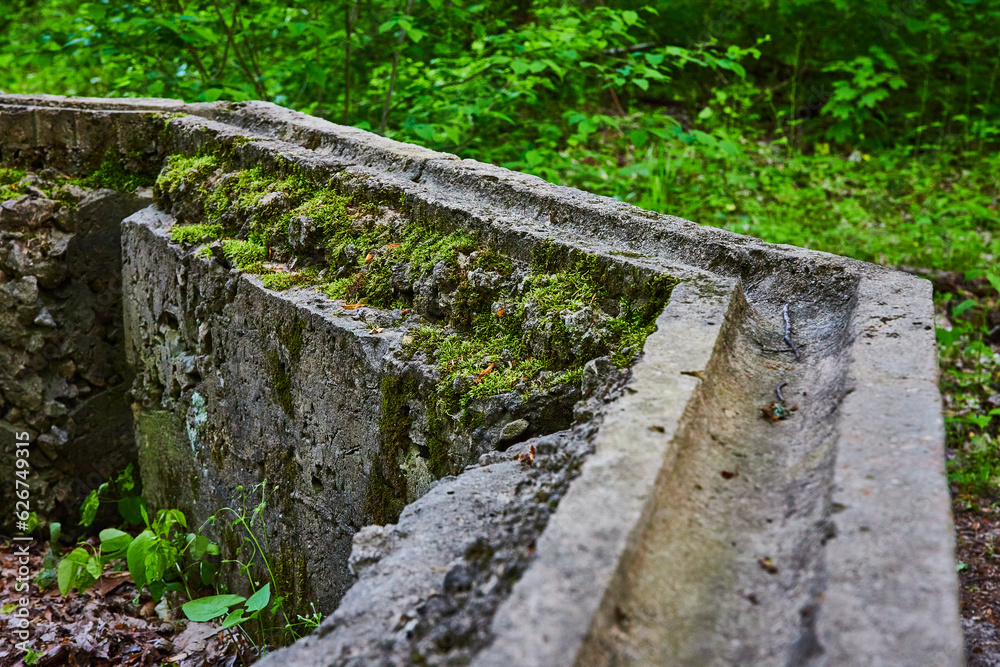Concrete above ground partial hexagon shaped structure overgrown with ...