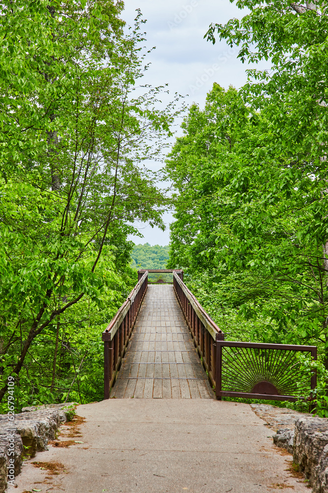 Vertical view of treetop canopy bridge with rising sun pattern on ...