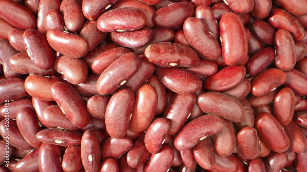 Red kidney beans, through the probe lens, reveal their vibrant red ...