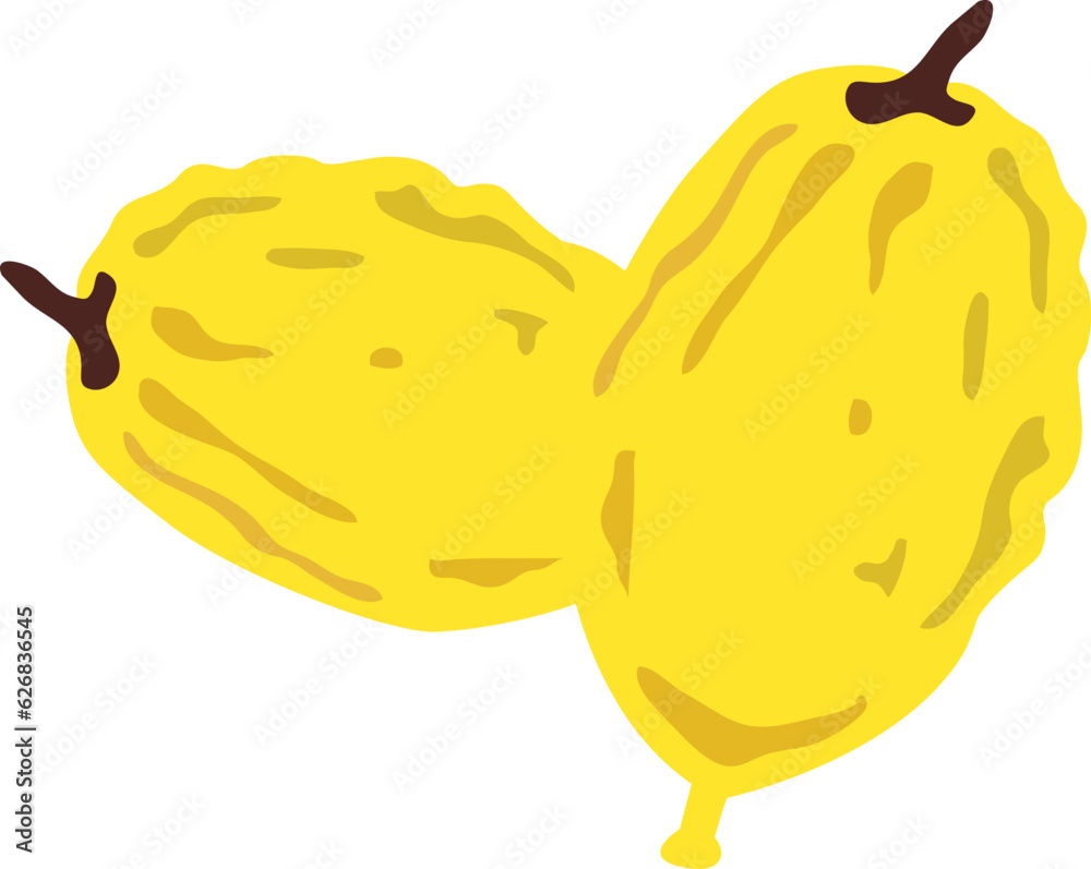 etrog, Jewish traditional symbol of Sukkot holiday. Four species ...
