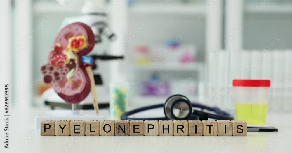Word pyelonephritis and human kidney models in clinic. Pyelonephritis ...