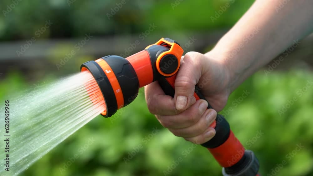 Hand holding a garden hose and watering a green garden. Hand use hoses ...