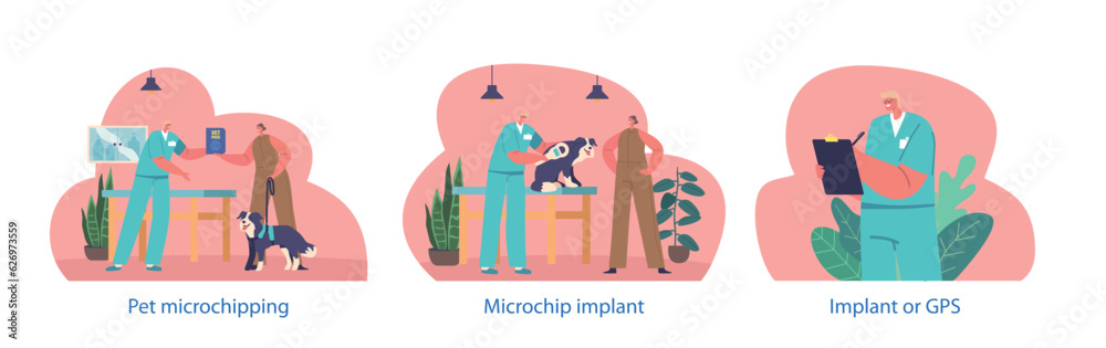 Isolated Elements With Animal Chipping Process Where A Small Microchip ...