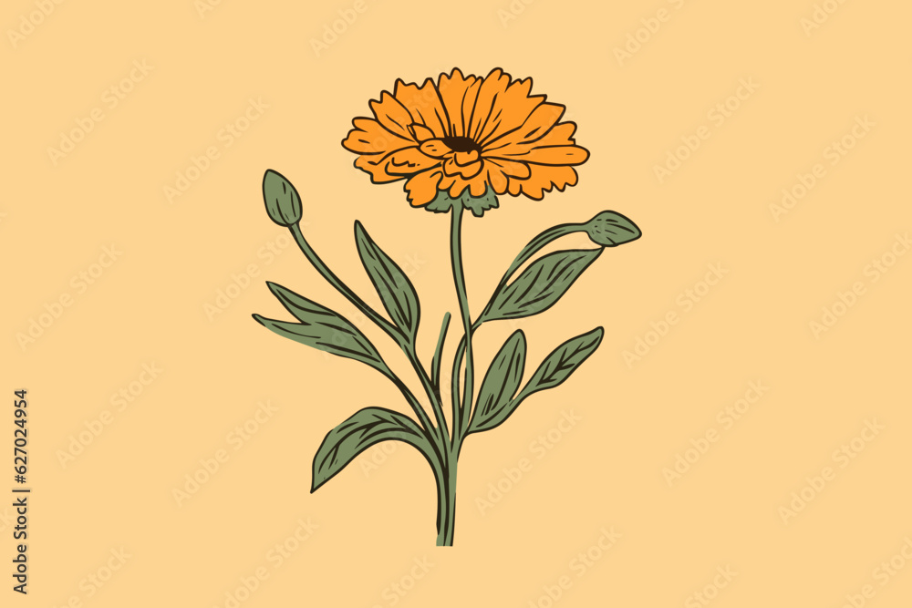 Vetor de Doodle inspired Calendula, cartoon sticker, sketch, vector ...