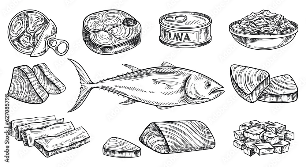 Sketch with sea tuna set. Outline delicious healthy fish fillet and ...